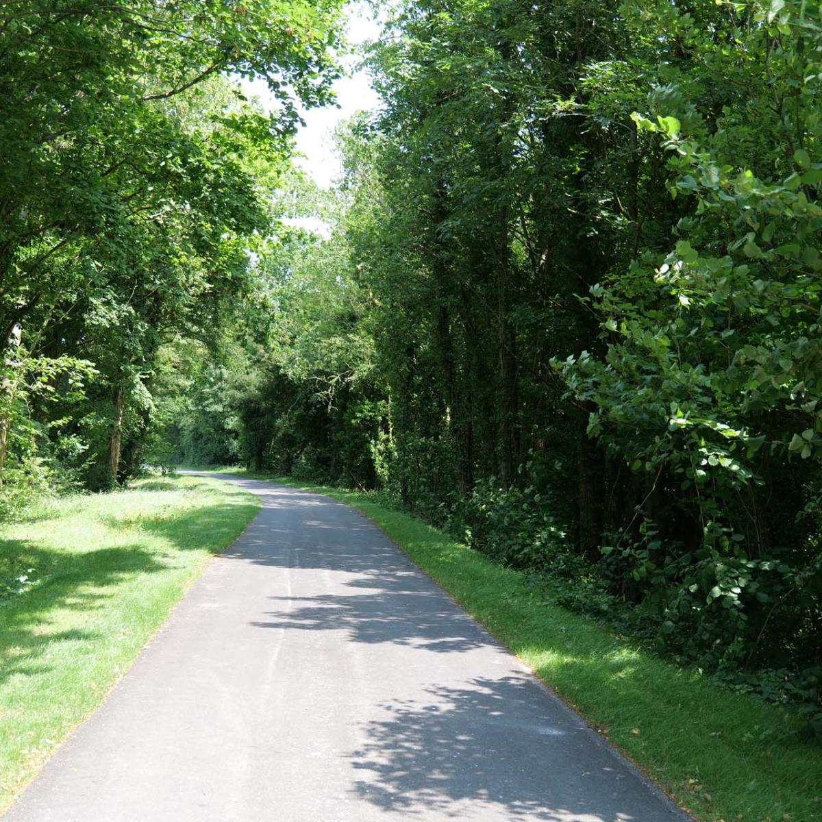 Chemin vert du petit caux | Site officiel de la Com de Com des Villes Sœurs